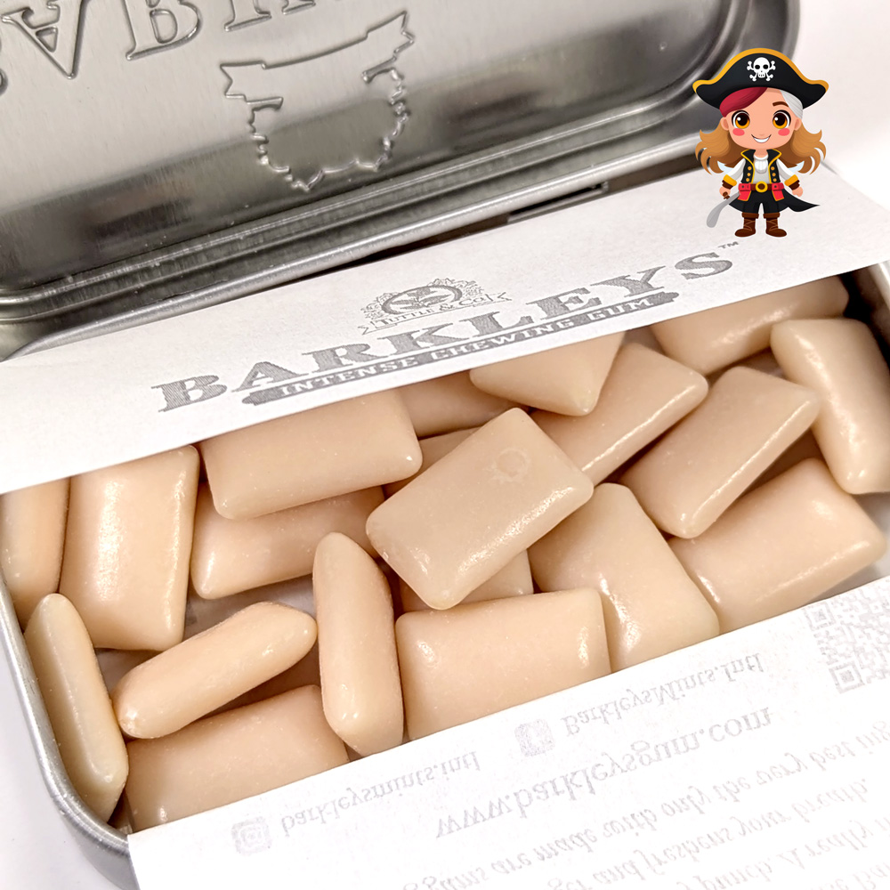 Barkleys Chewing Gum Intense Cinnamon - treasureislandsweets.co.uk