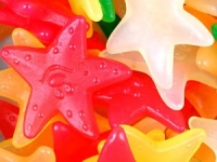 Bugs & Animals - treasureislandsweets.co.uk